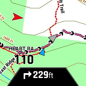 SOLVED BUG Directional Arrows On The Course In The Map Are Randomly Switching Between One