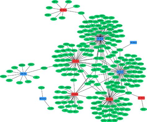 Network Of Differentially Expressed Mirnas And Immune Related Target