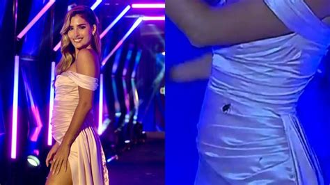 El Video Viral De Julieta Poggio Y Una Cucaracha En Su Vestido En La
