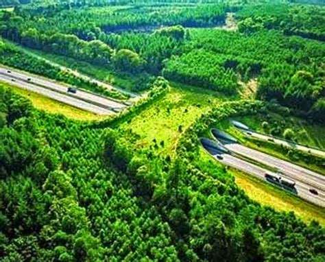 Retired Now What Habitat Fragmentation