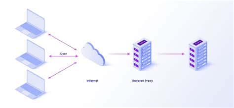 Reverse Proxy Vs Forward Proxy Whats The Difference