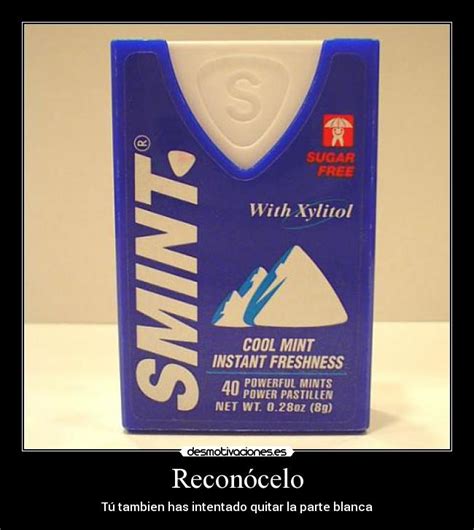 Imágenes Y Carteles De Smint Desmotivaciones