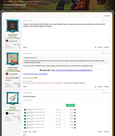 My Game Keeeps Crashing At Bazaar Hypixel Forums