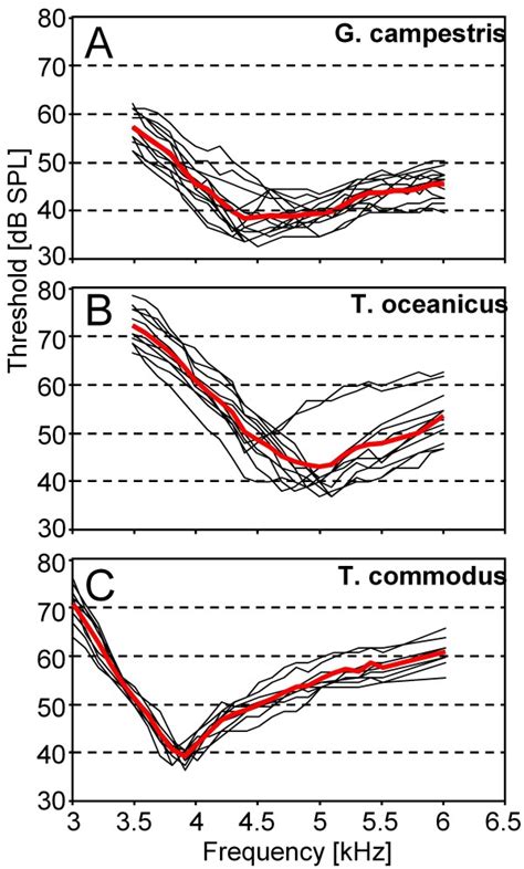 Sensitivity Tuning Of The AN1 Neuron In Three Species Of Field Crickets Download Scientific