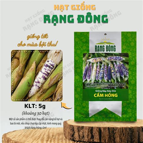 Hạt Giống Rau Củ Quả Trồng Chậu Rau ăn Ládây Leo Trồng Quanh Nămnảy