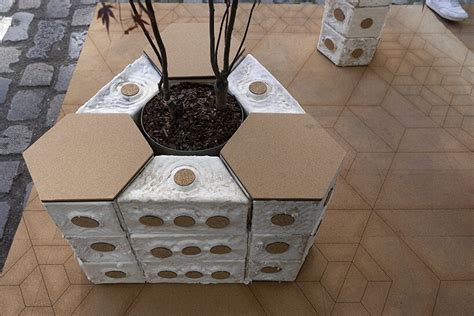 Exploring The Potential Of Mycelium In Architecture