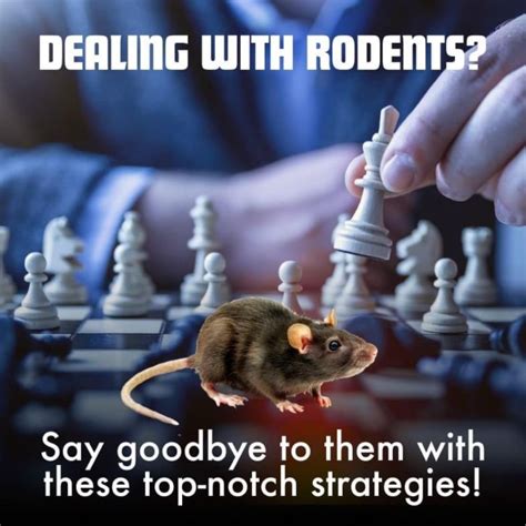 🐀Справување со глодари Кажете им збогум со овие врвни стратегии 1 Запечатете ги влезовите со