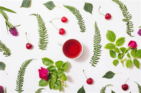 홍차 컵 녹색 잎 보라색 꽃 잎 자작나무와 잔디에에서 빨간 꽃 녹색 식물와 로즈는 흰색 바탕에 잘 익은 체리 거짓말 잔 가지 평면 위치 최고 볼 수 있습니다 약초 달 임 0