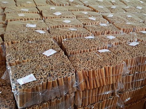Stick Cassia Tien Duc Jsc