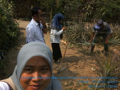 Pengembangan Kawasan Nanas Banasari