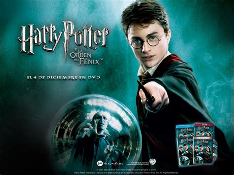 Harry Potter Y La Orden Del Fénix El 4 De Diciembre En Dvd El Septimo