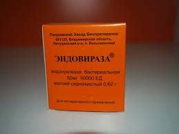эндовираза