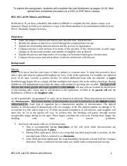Lab 9 Docx To Submit This Assignment Students Will Complete The Lab