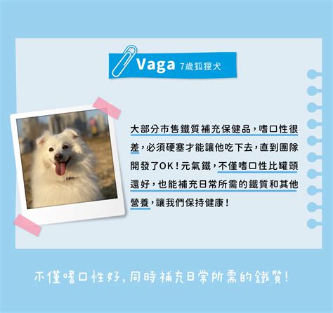 【怪獸部落litomon】ok！元氣鐵 盒裝 15g，30包 補鐵 補血 補元氣 蝦皮購物