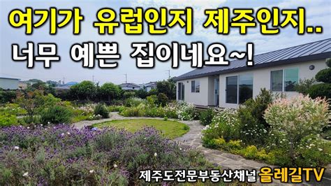 예쁜마을 돌담속 넓은 마당을 품은 단층 본채 별채 가격하향조정 추천매물 제주도부동산 올레길tv Youtube