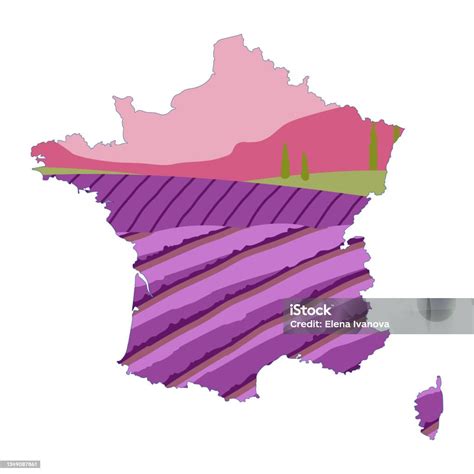 라벤더 필드와 결합 된 프랑스의지도 프랑스의 벡터 윤곽선과 실루엣지도 피는 라벤더의 들판 산과 나무가있는 여름 일몰 풍경 흰색 배경에 격리된 모든 것 벡터 지도에 대한 스톡