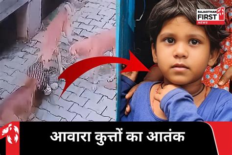 भरतपुर में कुत्तों का खौफनाक हमला 5 साल की मासूम ने देखी मौत की खौफनाक