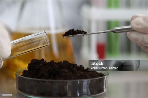 화학 분석 및 Ph 테스트를 위한 토양 샘플링 흙에 대한 스톡 사진 및 기타 이미지 흙 검사 보기 과학 실험 Istock