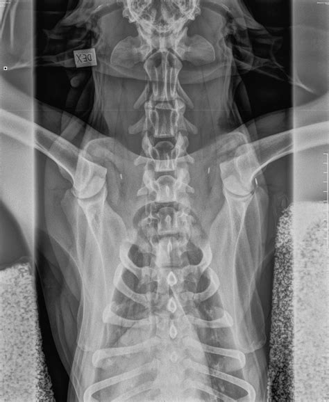 Sannin Blogi Lokakuuta 2013