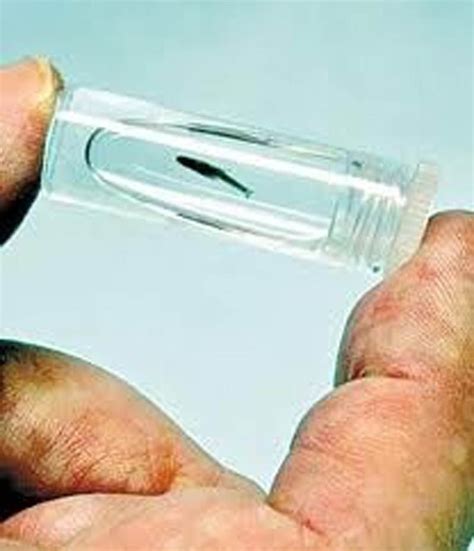 Adorable Tiny Things Others