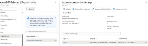 Az Containerapp Create Parameter Registry Identity What Is It Microsoft Qanda