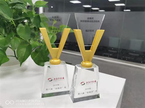 2019中国股权投资论坛 临芯投资摘得双奖项！