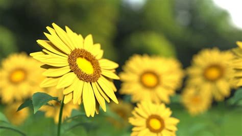 Расслабляющая музыка для сна медитации и борьбы со стрессом Youtube