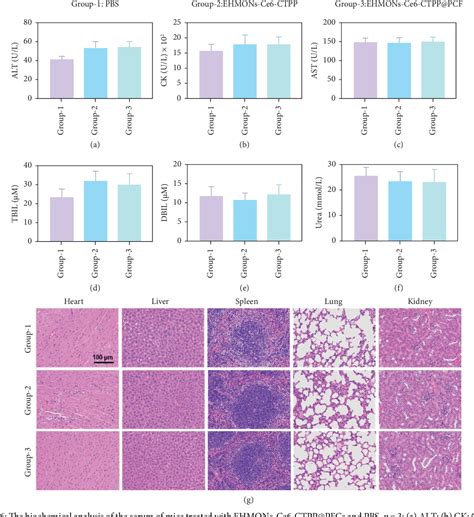 Figure 1 From Mitochondria Targeting And Oxygen Self Supplying Eccentric Hollow Nanoplatform For