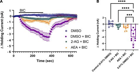 Frontiers Activity Dependent Modulation Of Tonic Gaba Currents By