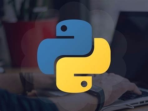 The Complete Learn To Code Bundle TheChive University