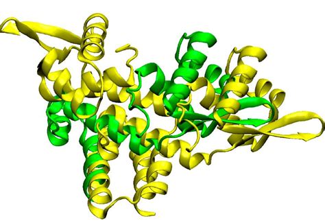 Structure Comparison Of Meca Type Methicillin Resistance