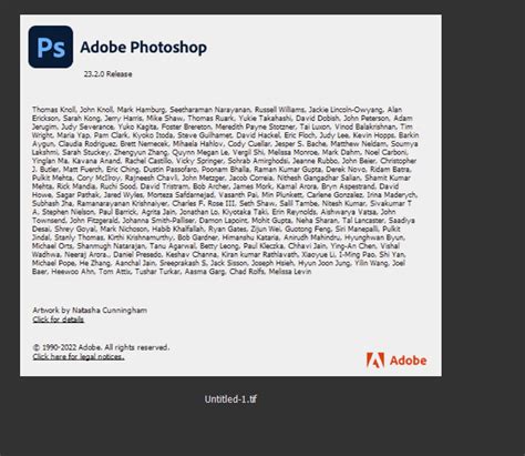 bridge doesn t display correctly vector masks tran adobe product