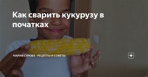 Как сварить кукурузу в початках Мария Сурова рецепты и советы Дзен