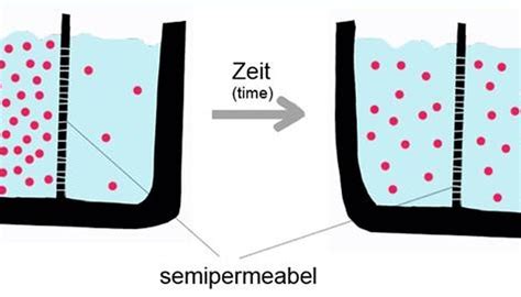 How Does Diffusion Work Sciencing