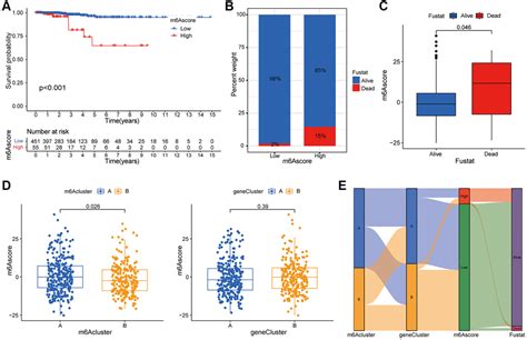 Thyroid Cancer Risk Prediction Model Using M6a Rna Methylation