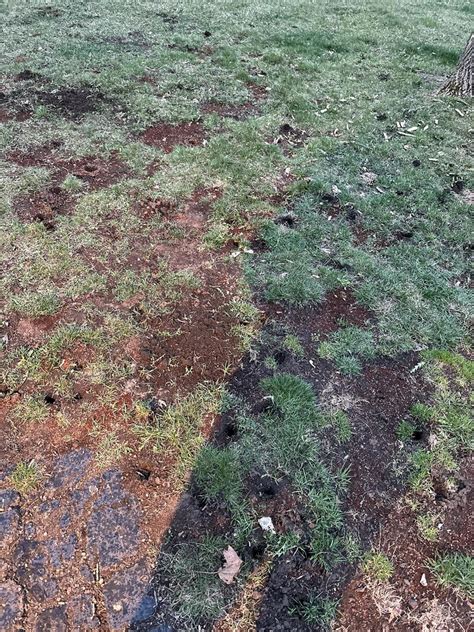 Michelle Glisson On Linkedin Its Ok To Relax But Lets Not Get Too Relaxed