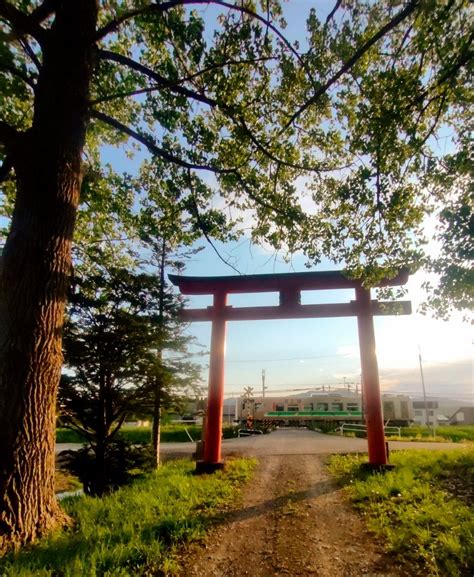 富良野線とたんぽぽの綿毛 改ぼちぼちいこか日記