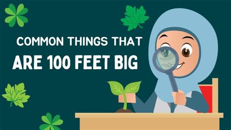 Things That Are 14 Inches Long 12 Common Things Measuring Troop