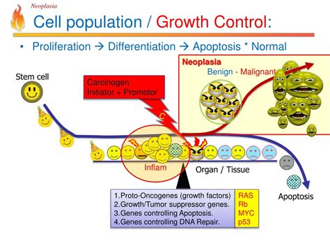 Ppt Pathology Lecture Neoplasia Powerpoint Presentation Free