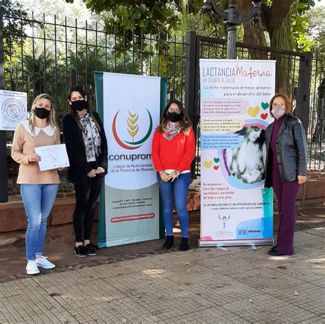En Colegio De Nutricionistas De La Provincia De Misiones