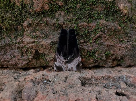 Beautiful Fossil Palm Root Pair Earrings Jewelry Designer Cabochon Etsy