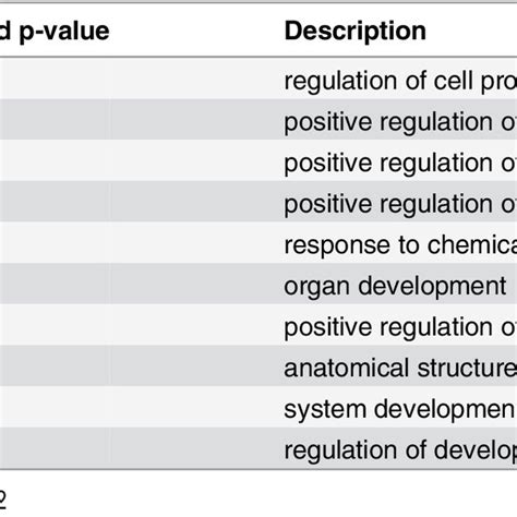 The Top 10 Significant Gene Ontology Go Biological Process Terms