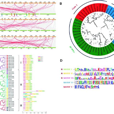 Identification And Bioinformatics Analysis Of Autophagy Related Gene Download Scientific