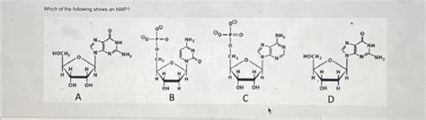 Solved Which Of The Following Shows An Nmp