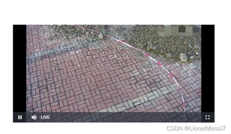 web接入大华摄像头实时视频 大华监控 web端 csdn博客