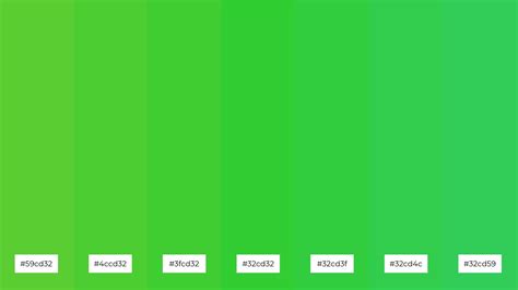 What Color Is Lime Green Meaning Code And Combinations