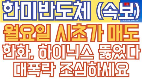 한미반도체 주가전망 분석 긴급 월요일 시초가 매도 한화 하이닉스 뚫었다 대폭락 조심하세요 Youtube
