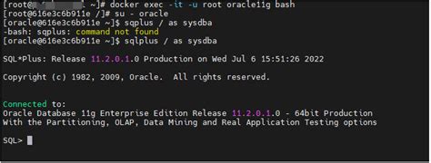 Oracle 备份与恢复 （docker部署版） 山有扶苏qwq 博客园