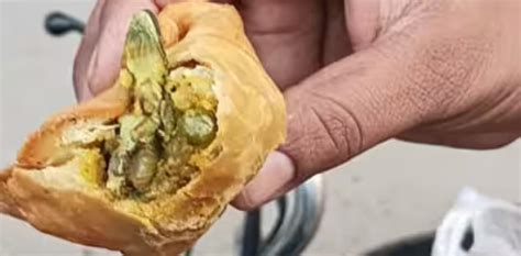 Viral Man Daughter Fall Sick After Dead Lizard Found In Samosa