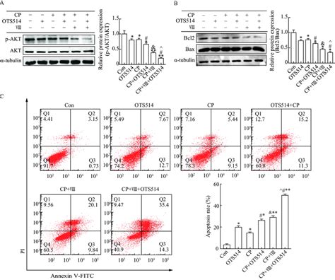 The Topkakt Signaling Pathway Plays Key Roles In Cisplatin Induced